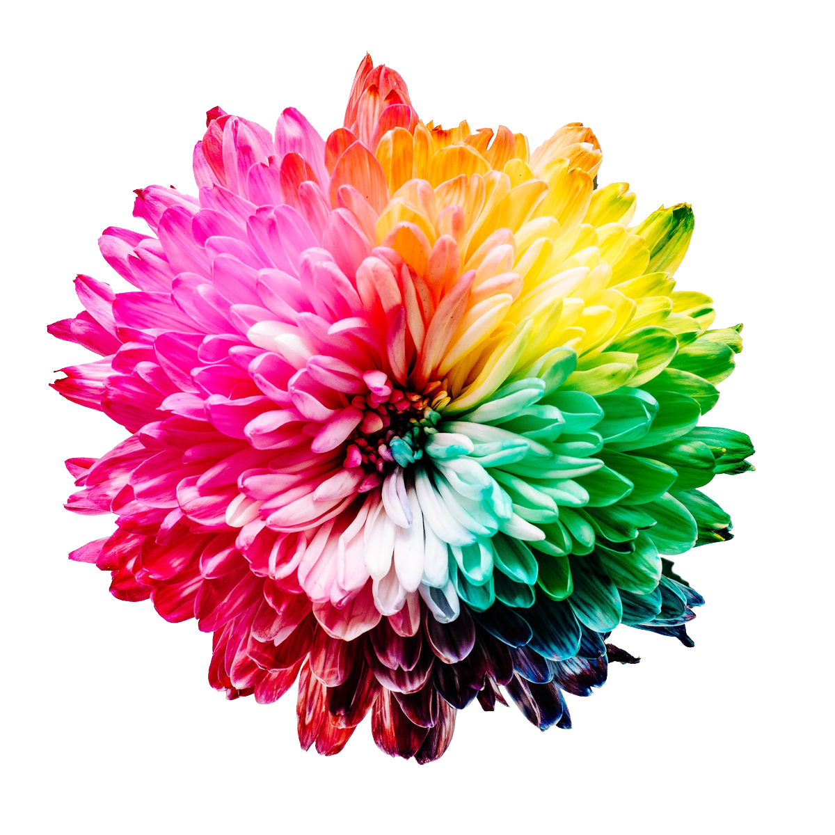 the-significance-of-colour-for-brand-identification-and-your-website